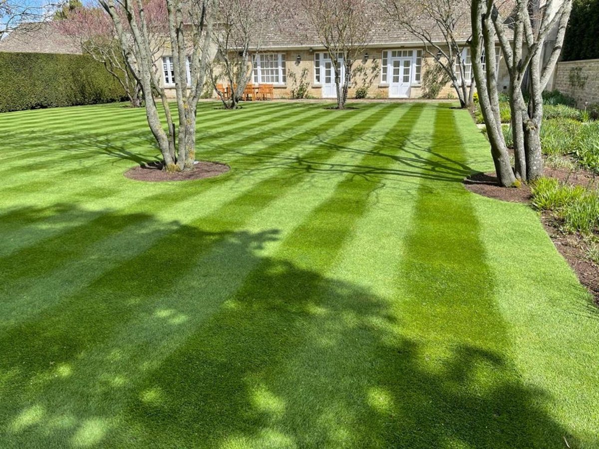How to grow a Wimbledon lawn for summer - The Rugby Observer
